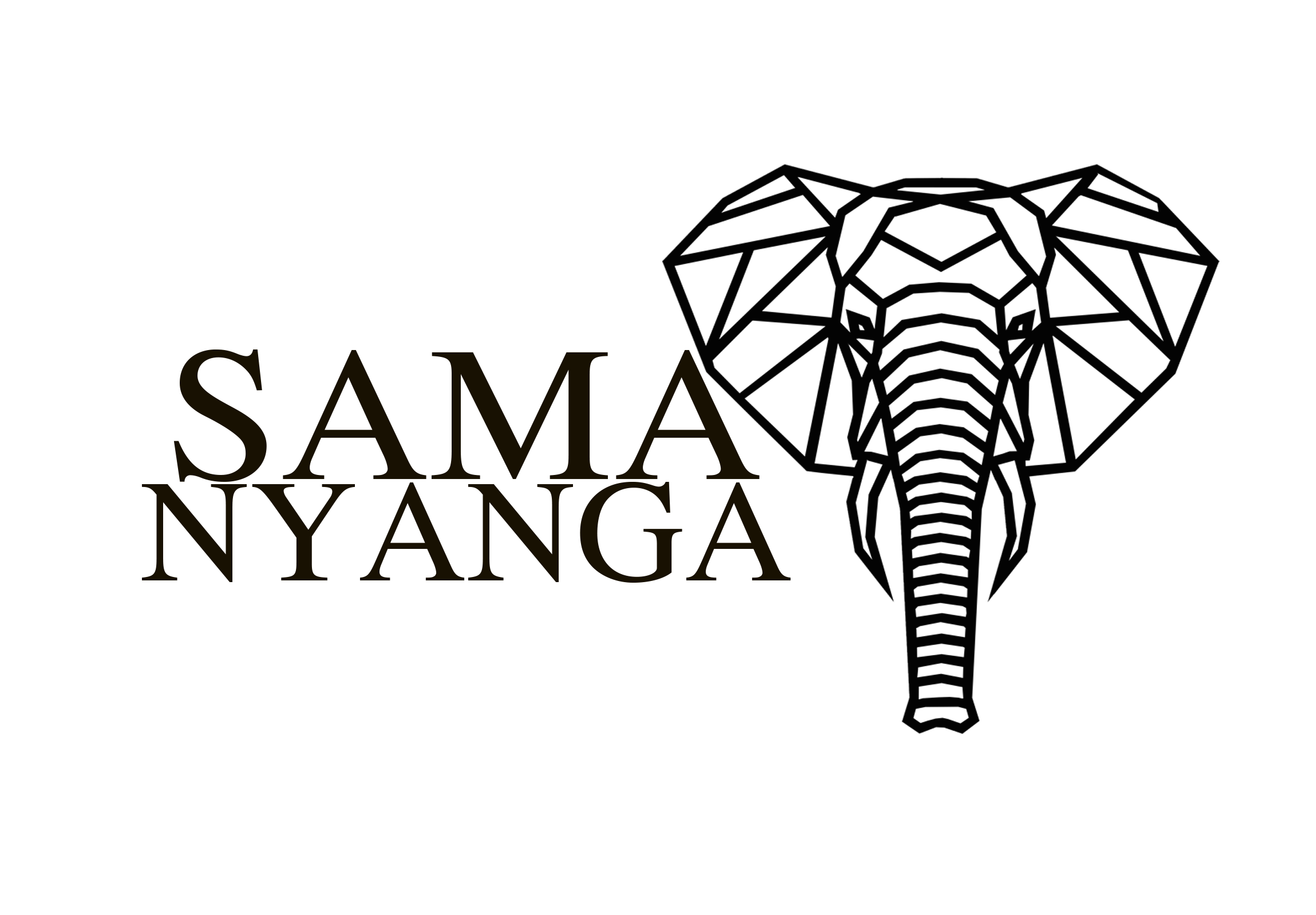 Nzou / Samanyanga / Elephant Totem Collection – InspirationOnCanvas